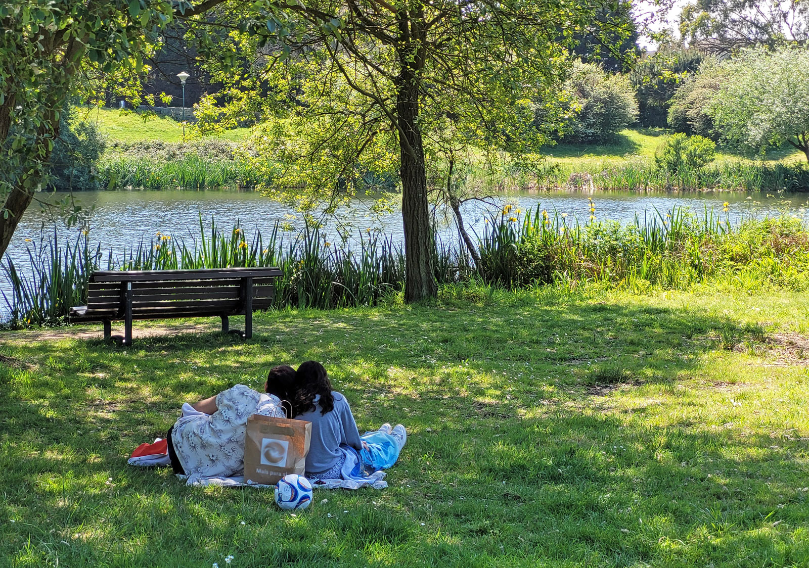 Parc municipal de Porto - Parque da Cidade do Porto - Jardins, Parcs à ...