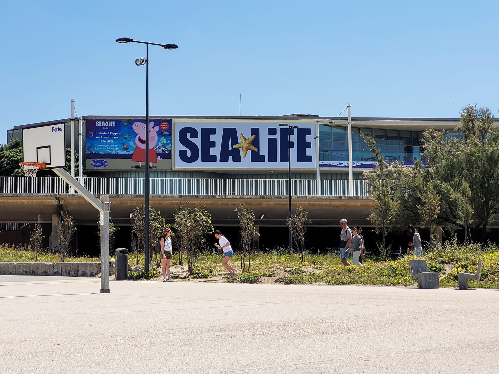 Sea Life Porto - Loisirs enfants à Porto Plage - Guide de Porto